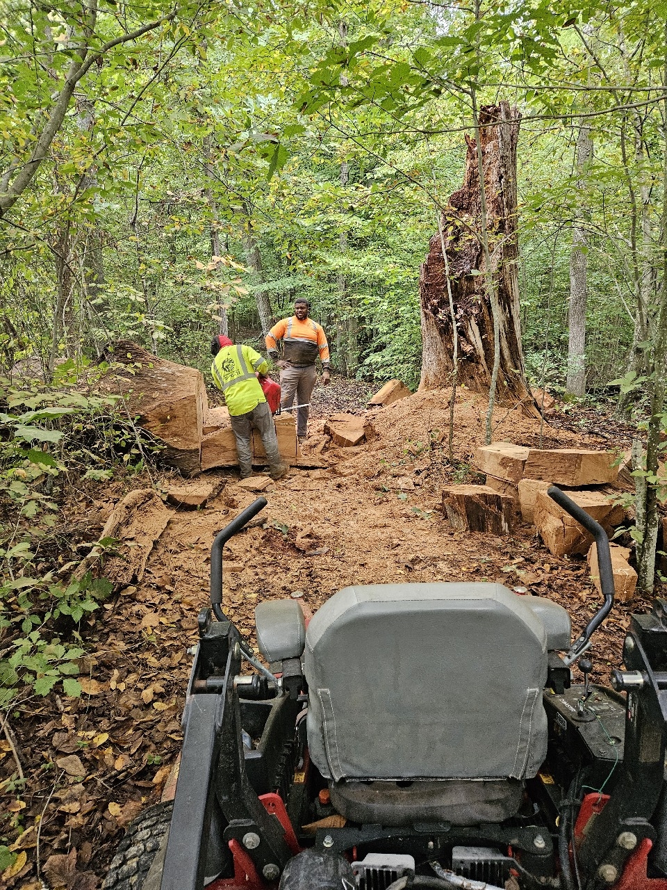 Cut the Tree blocking the trail - Summerwood Community HOA